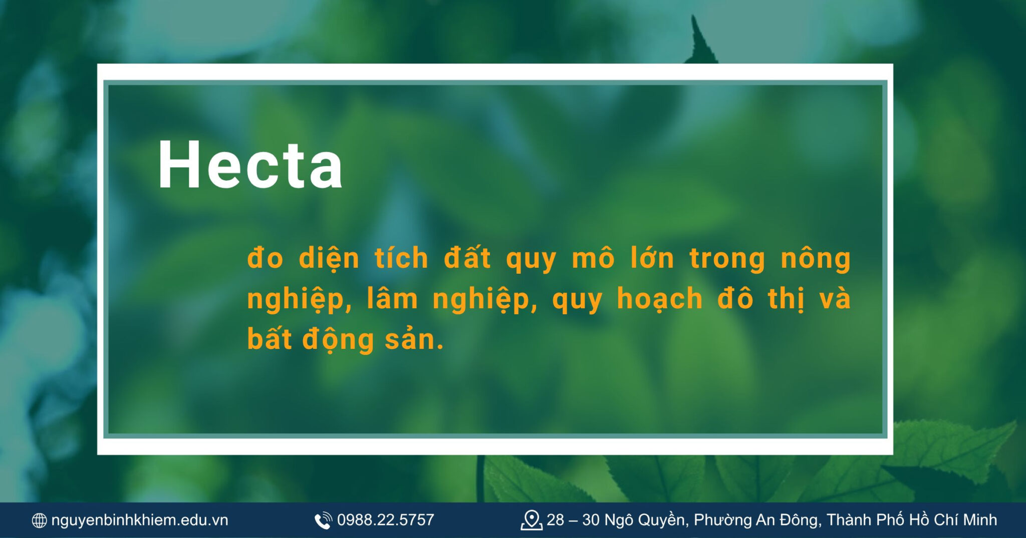 1ha bằng bao nhiêu m2? Cách quy đổi nhanh, dễ hiểu!
